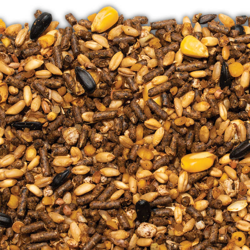 Laucke Mills | Red Hen Layer 20kg